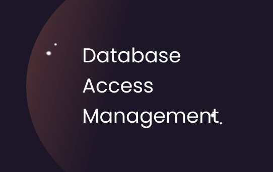 What is Database Access Management | Entitle